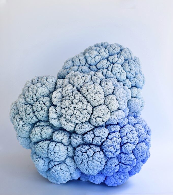 アイザワリエ Rie Aizawa展 ー海中遊泳ー – SILVER SHELL オフィシャルサイト